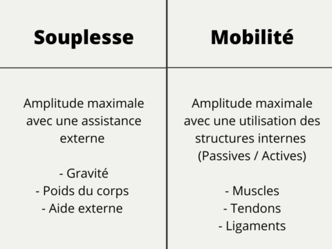 Souplesse et mobilité, quels exercices ? - Salles de sport et coaching ...